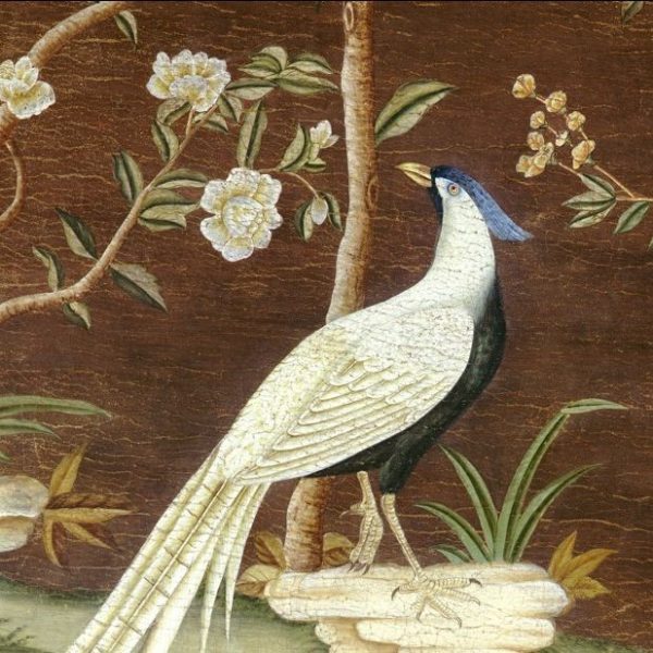 Dutch Tree of Life - IKSEL